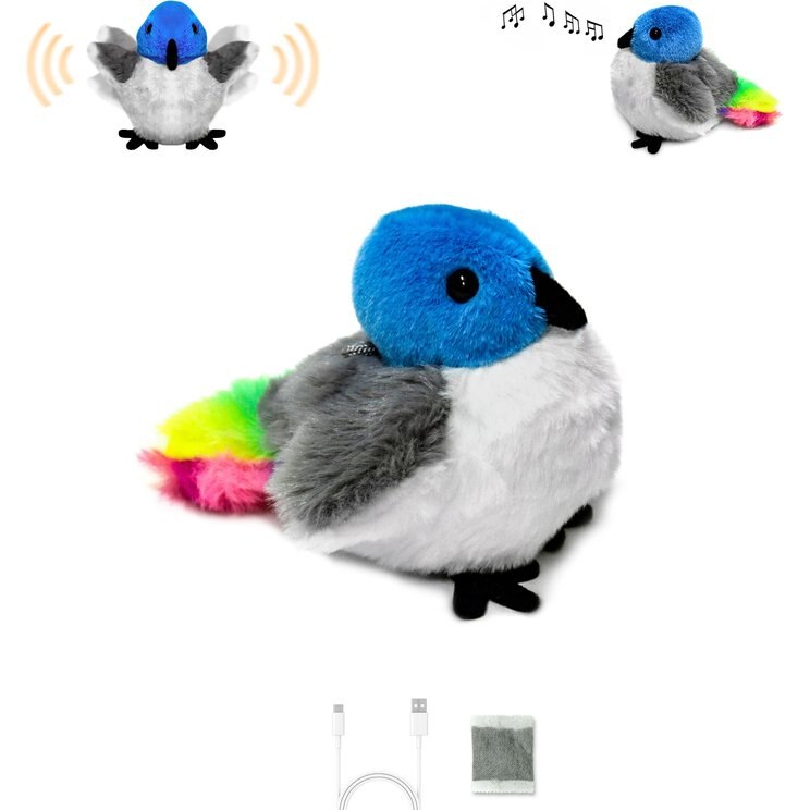 Interactive Cat Toys: Stimulating & Entertaining (Free Shipping) | Chewy