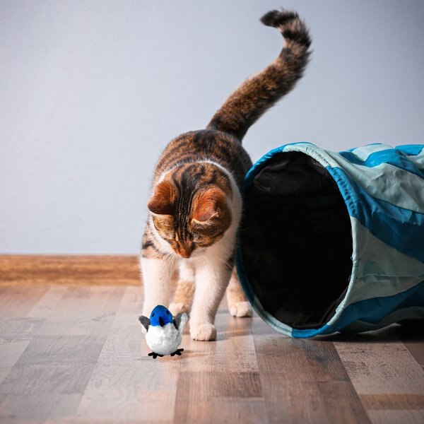 PET FIT FOR LIFE Flapping Bird Interactive Cat Toy, Blue - Chewy.com