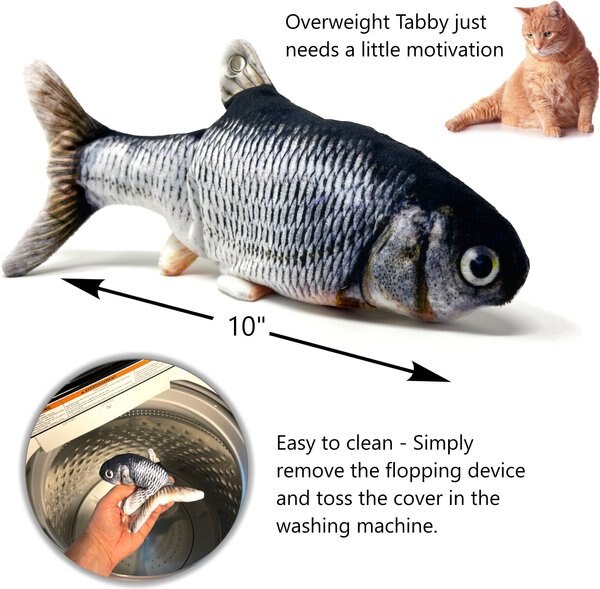 PET FIT FOR LIFE Robotic Floppy Fish & Wand Cat Toy - Chewy.com