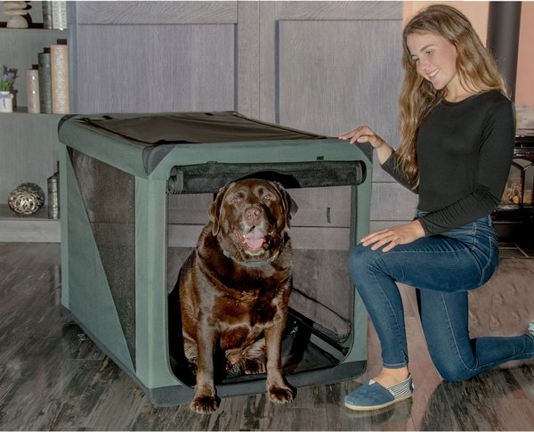 PET GEAR 3 Door Insta-Fold Soft Dog Crate, Dark Cypress, 42 inch ...