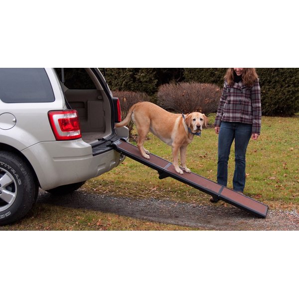 FRISCO Tri-Fold Travel Dog Car Ramp, Dark Charcoal - Chewy.com