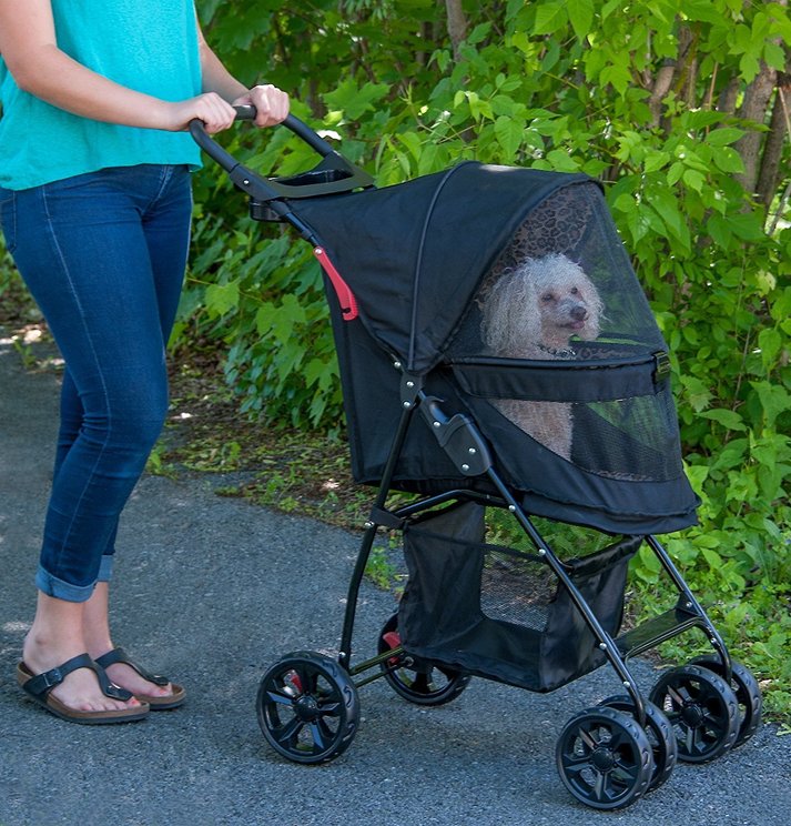 Dog Strollers: Small to Large Breeds, Low Prices (Free Shipping) | Chewy