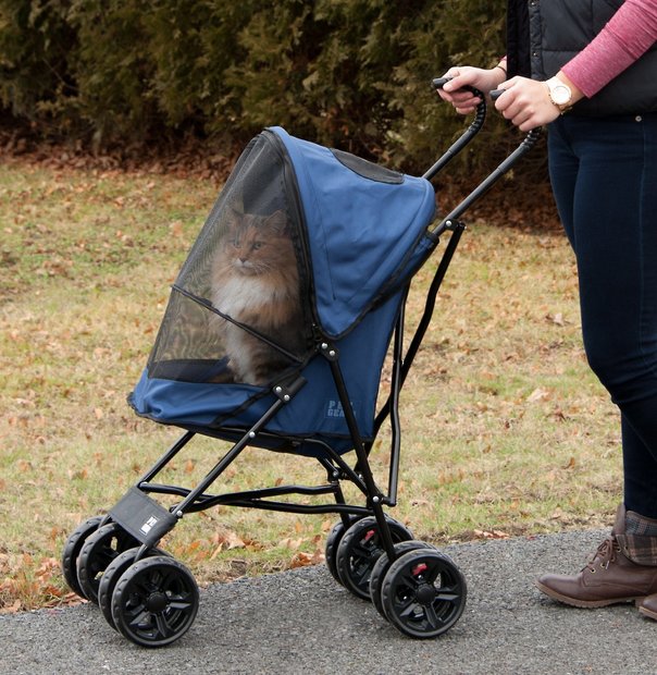 CAT CARRIERS WITH WHEELS (Free Shipping) | Chewy