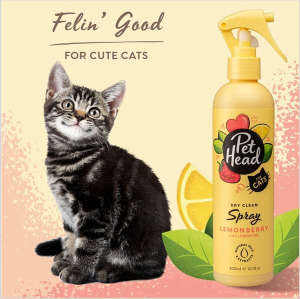 PET HEAD Felin' Good Spray Vegan Cat Deodorizer, 10.1-fl oz bottle ...