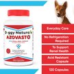 PET HEALTH PHARMA Azovast Plus Capsule Kidney Supplement for Dogs ...