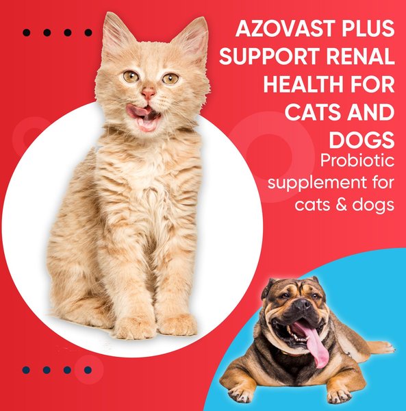 PET HEALTH PHARMA Azovast Plus Capsule Kidney Supplement for Dogs ...