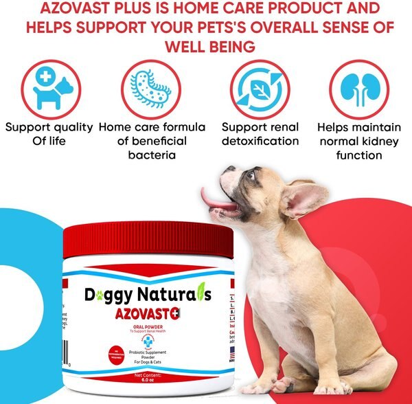 PET HEALTH PHARMA Azovast Plus Powder Kidney Supplement for Dogs & Cats ...