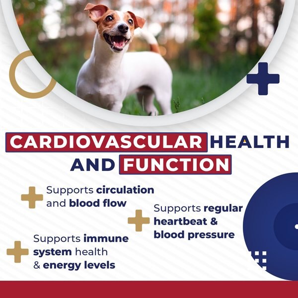 PET HEALTH PHARMA Cardio Heart Health Chicken Flavored Tablets ...