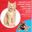 PET HEALTH PHARMA Oral Paste Azovast Plus for Dogs & Cats, 60 count ...