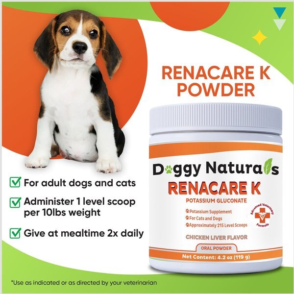PET HEALTH PHARMA RenaCare K Powder Kidney Cat & Dog Supplement, 4.2-oz ...