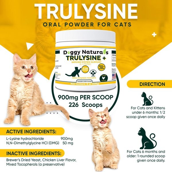 PET HEALTH PHARMA Trulysine & Immune Support Oral Powder Cat Supplement ...