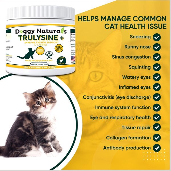 PET HEALTH PHARMA Trulysine & Immune Support Oral Powder Cat Supplement ...