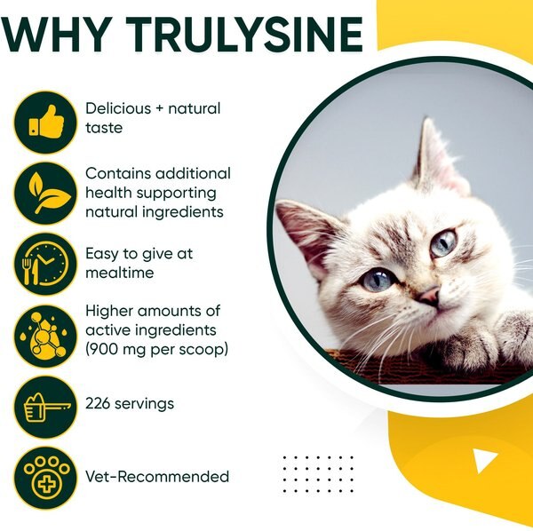PET HEALTH PHARMA Trulysine & Immune Support Oral Powder Cat Supplement ...