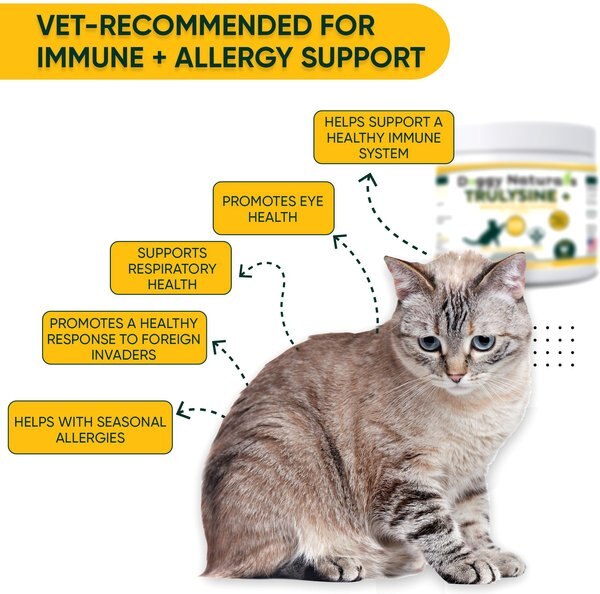 PET HEALTH PHARMA Trulysine & Immune Support Oral Powder Cat Supplement ...