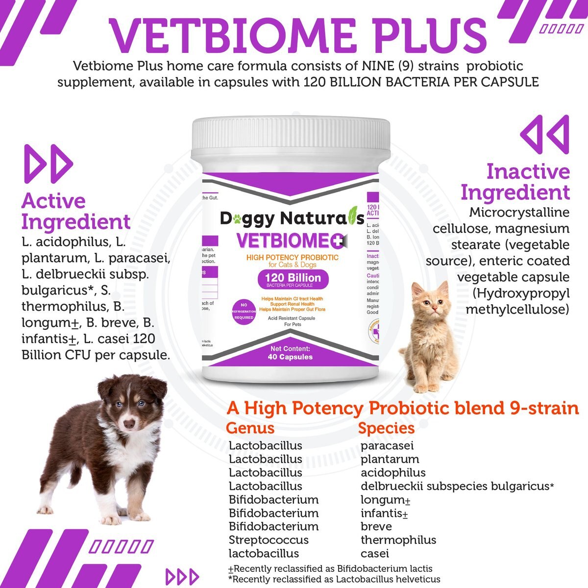 PET HEALTH PHARMA Vetbiome Plus High Potency Probiotics for Dog & Cat ...