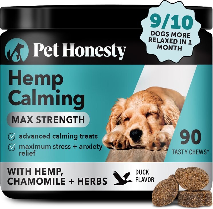 Best Dog Calming Treats & Chews - Low Prices (Free Shipping) | Chewy