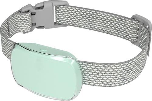 PET LIFE Crescendo Waterproof Dog Bark Collar, Green - Chewy.com