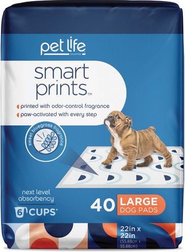Shop Pet Life Unlimited for Dogs - Free shipping | Chewy