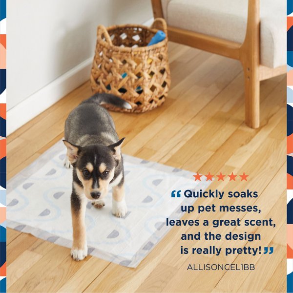 PET LIFE UNLIMITED Smart Prints Dog Pee Pads, Sweet Bluegrass Scent ...