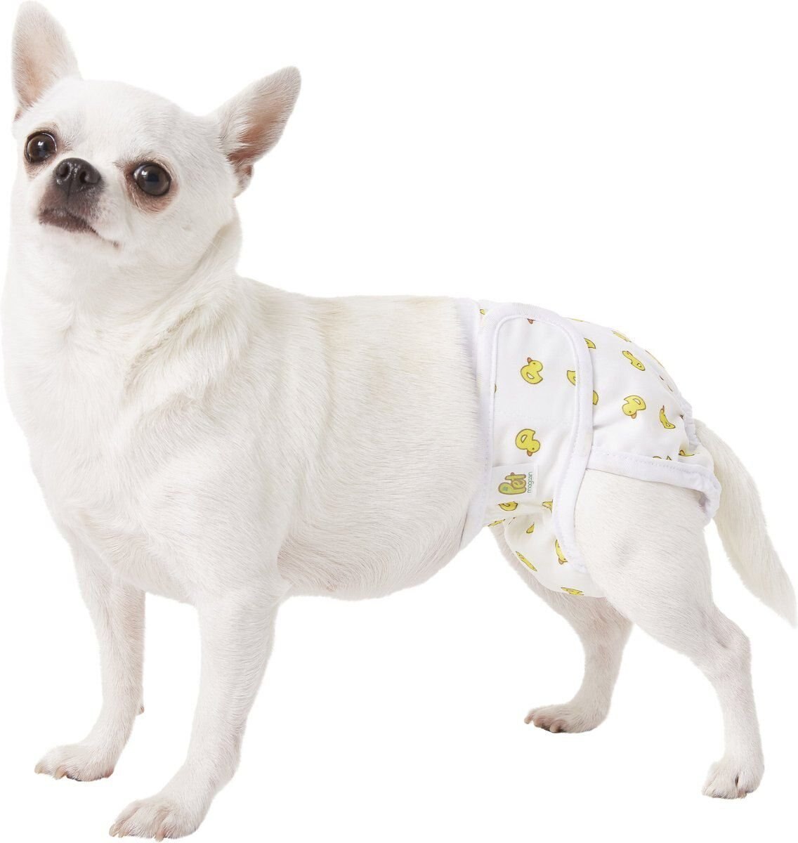 PET MAGASIN Washable Female Dog Diapers, Print, X-Small: 10 to 12-in ...