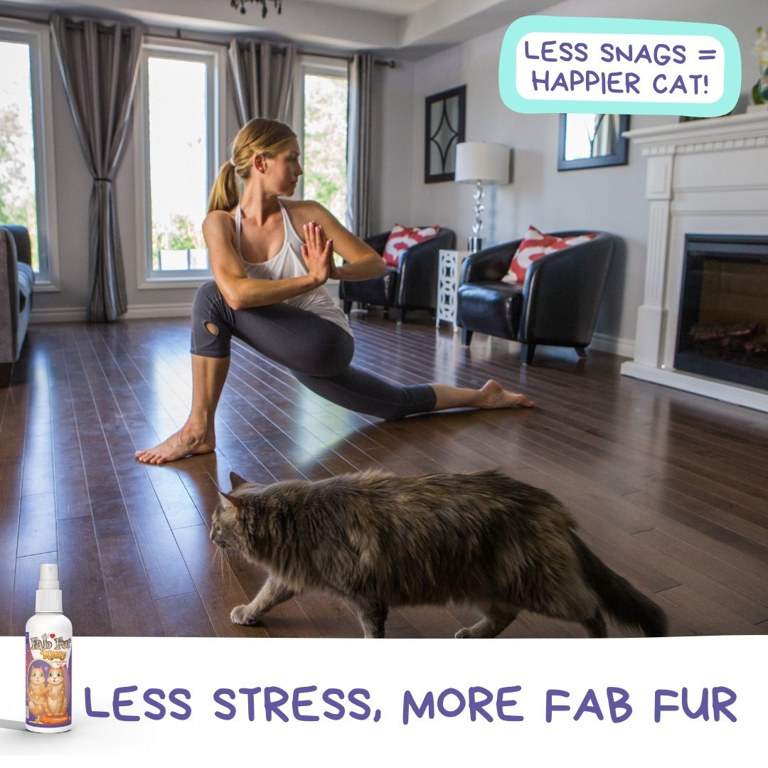 PET MASTERMIND Fab Fur Kitty Detangling Cat Spray, 8-fl oz bottle ...