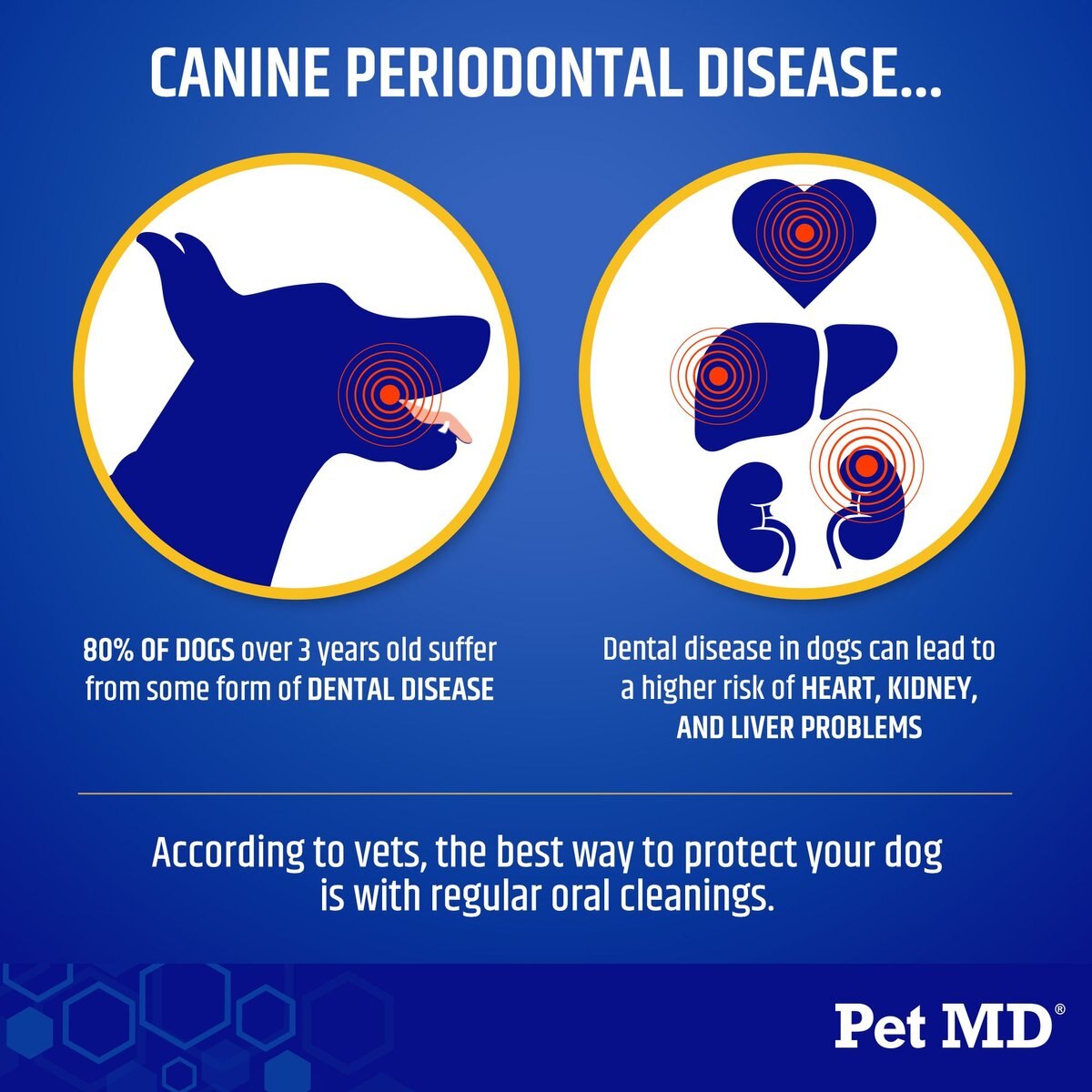 PET MD Proden PlaqueOff Teeth Cleaning Dental Care Powder Dog Dental ...