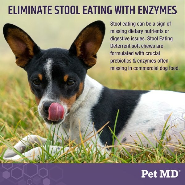 PET MD Stool Eating Deterrent Dog Supplement, 60 count - Chewy.com