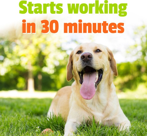 PET NATURALS BusyButter Easy Squeeze Peanut Butter Flavored Paste ...