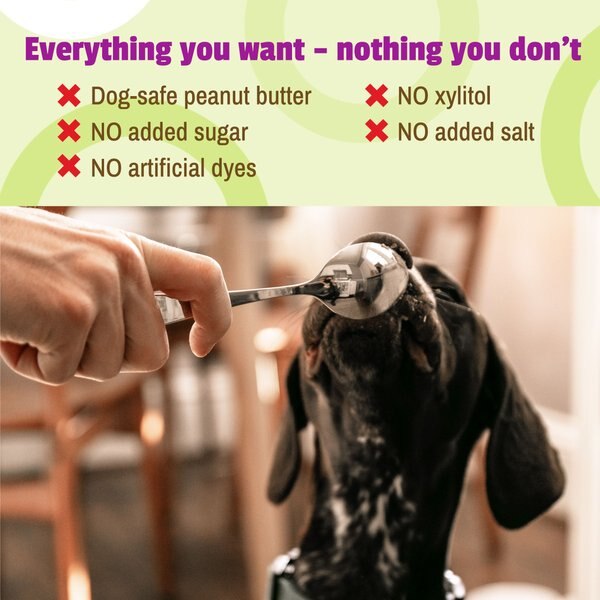 PET NATURALS BusyButter Easy Squeeze Peanut Butter Flavored Paste ...