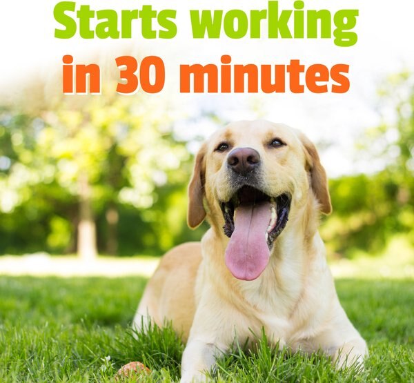 PET NATURALS BusyButter Extra Strength Peanut Butter Flavored Paste ...