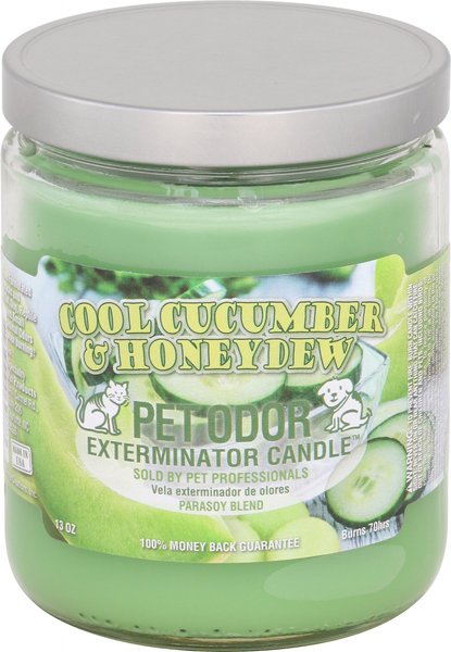 PET ODOR EXTERMINATOR Cool Cucumber & Honeydew Candle, 13-oz - Chewy.com
