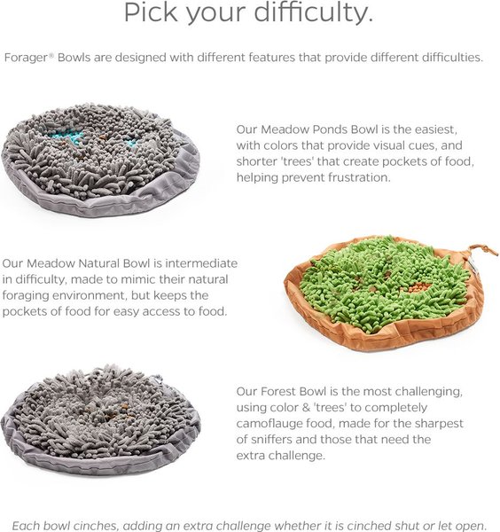 PET PARENTS Forager Snuffle Mat & Slow Feeder Dog Bowl, Forest Grey ...
