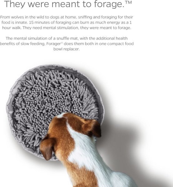 PET PARENTS Forager Snuffle Mat & Slow Feeder Dog Bowl, Forest Grey ...