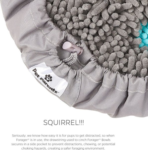 PET PARENTS Forager Snuffle Mat & Slow Feeder Dog Bowl, Meadow Ponds ...