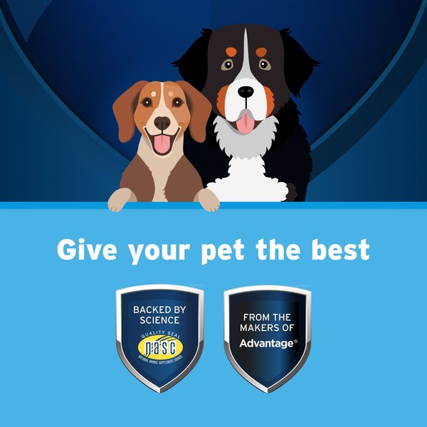 PET PROTECT Free Form Omega-3 Fish Oil Snip Tip Capsule Supplements for ...
