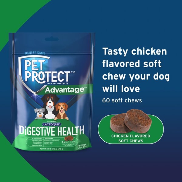 PET PROTECT Lactoquil Digestive Health Probiotic Chicken Flavored Soft ...