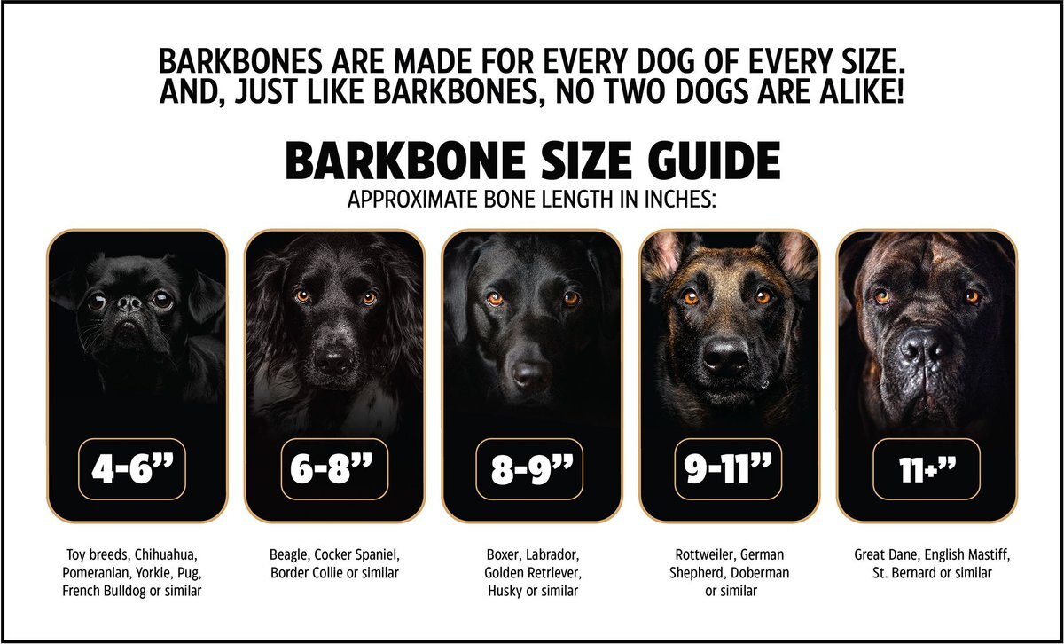 PET QWERKS Dinosaur BarkBone Nylon & Wood Dog Toy, Brown, Medium ...