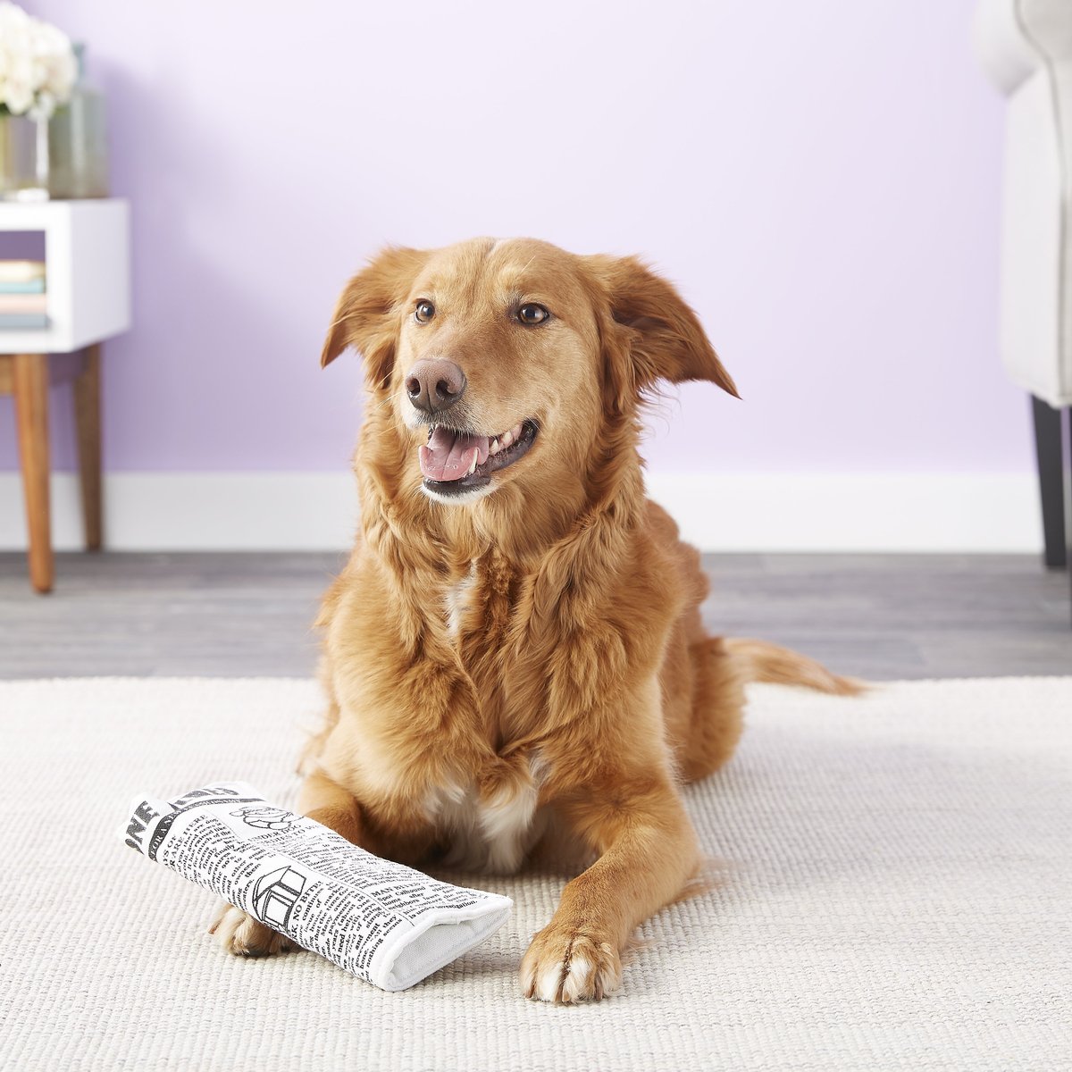 PET QWERKS Krinkle & Squeak Newspaper Stuffing-Free Plush Dog Toy ...