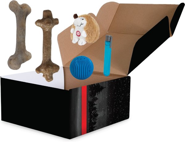 PET QWERKS Small Holiday Gift Box Dog Toy Large - Chewy.com