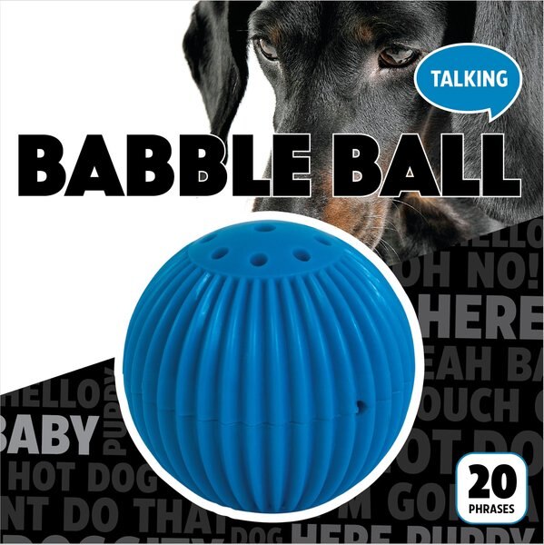 PET QWERKS Small Holiday Gift Box Dog Toy Large - Chewy.com