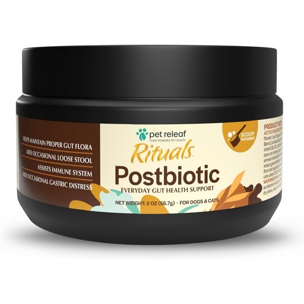 DIGGIN' YOUR DOG Firm Up! Pumpkin Digestive Aid Powder Supplement for ...