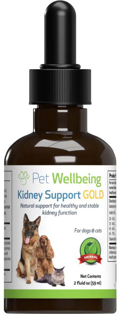 PET WELLBEING Kidney Support GOLD Bacon Flavored Liquid Kidney ...