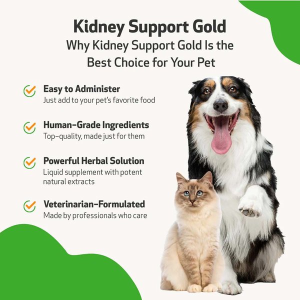 PET WELLBEING Kidney Support GOLD Bacon Flavored Liquid Kidney ...