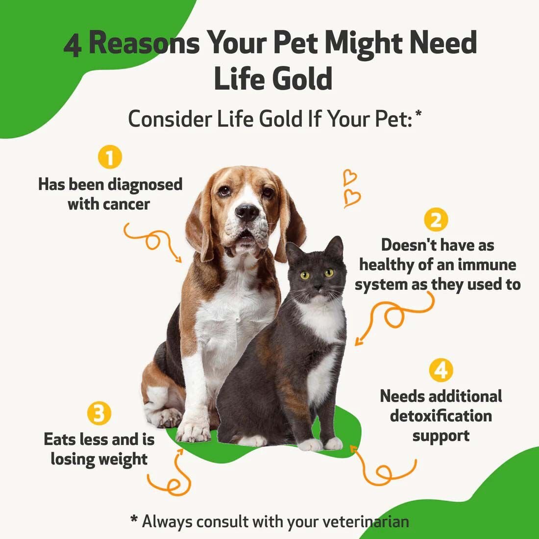 PET WELLBEING Life GOLD Bacon Flavored Liquid Immune Supplement for ...