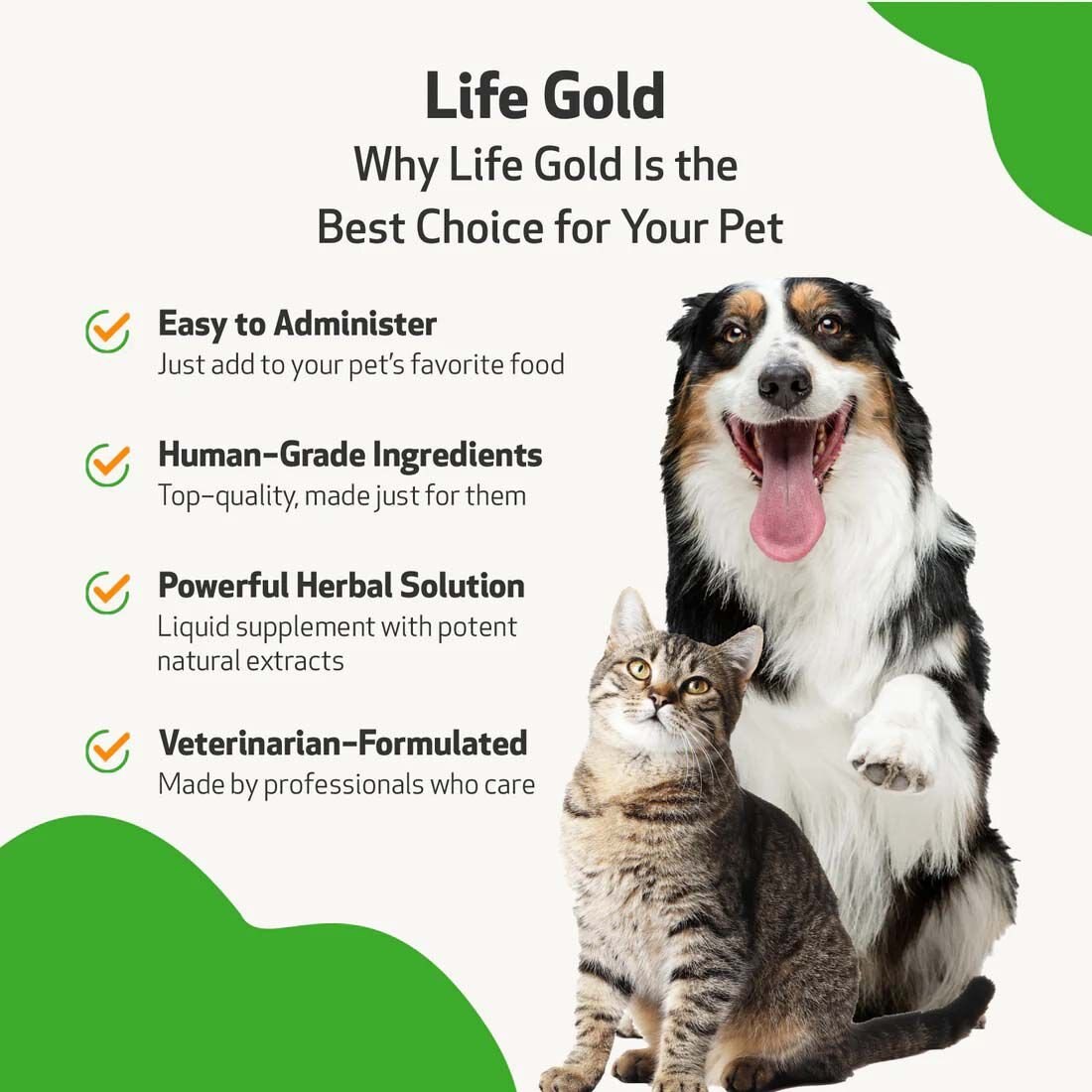 PET WELLBEING Life GOLD Bacon Flavored Liquid Immune Supplement for ...