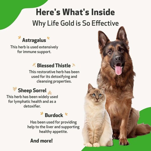 PET WELLBEING Life GOLD Bacon Flavored Liquid Immune Supplement for ...