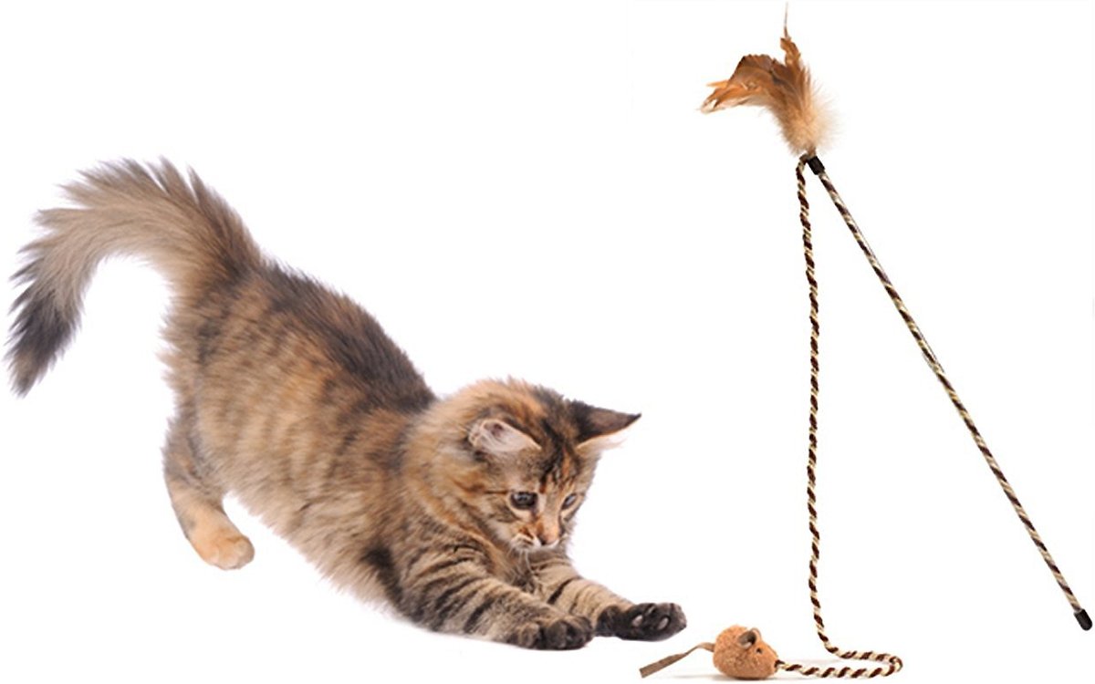 PET ZONE Bounce & Pounce Wand Cat Toy with Catnip - Chewy.com