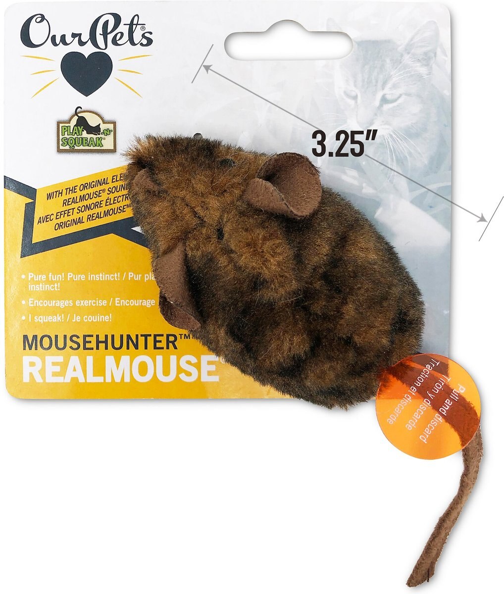 PET ZONE Play-N-Squeak MouseHunter Cat Toy with Catnip - Chewy.com