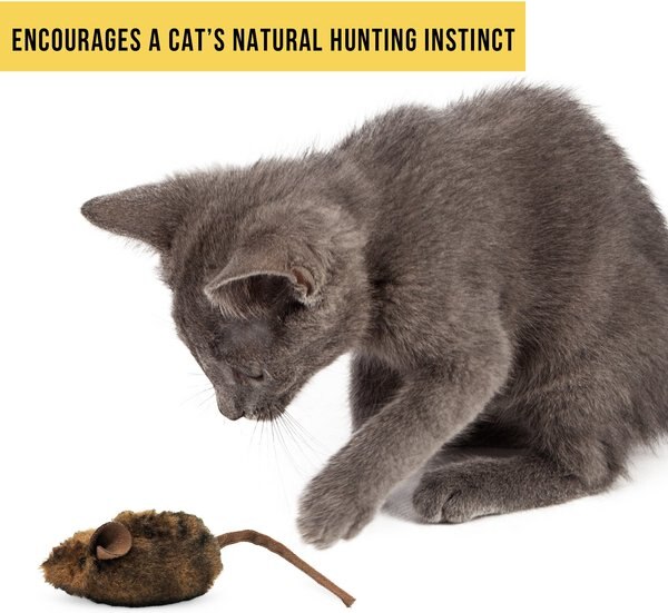 PET ZONE Play-N-Squeak MouseHunter Cat Toy with Catnip - Chewy.com