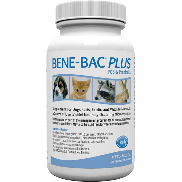 PETAG Bene-Bac Powder FOS & Probiotics for Dogs, Cats, Exotic ...